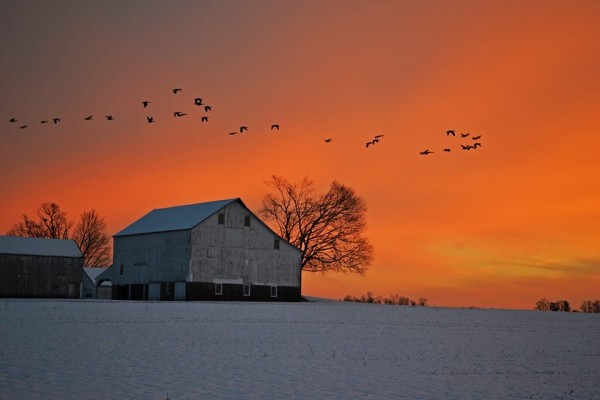 Featured Photo: A Winter Sunset on the Farm | Bucks Happening