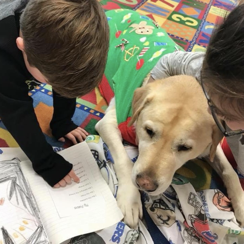 Making it Happen: Roxy’s Therapy Dogs | Bucks Happening