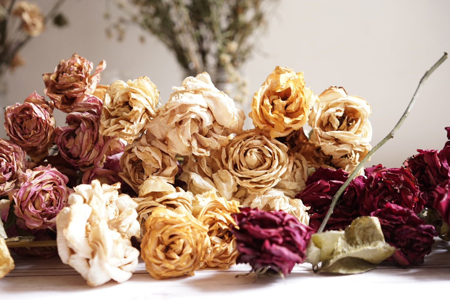 Weekend Happenings | January 16-18 | Bucks Happening